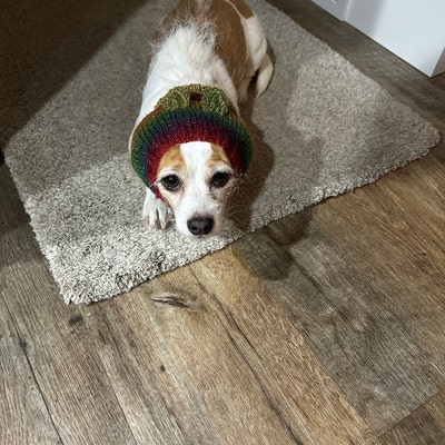 Granny Square Black and White Dog Hood. Dog Balaclava. Dog Clothes ...