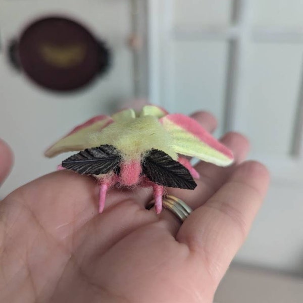 Rosey Maple Moth, Moth Figurine, Decoration, Needle Felted, Realistic ...
