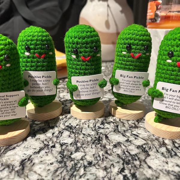 Emotional Support Pickle,positive Pickle,big Fan Pickle,handmade ...