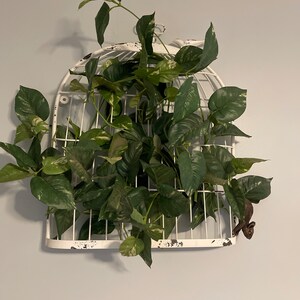 Peter Rabbit Pot Buddy Pot Hanger Beatrix Potter Gift - Etsy