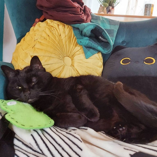 Kuchi Kopi Catnip Toy bobs Burgers - Etsy