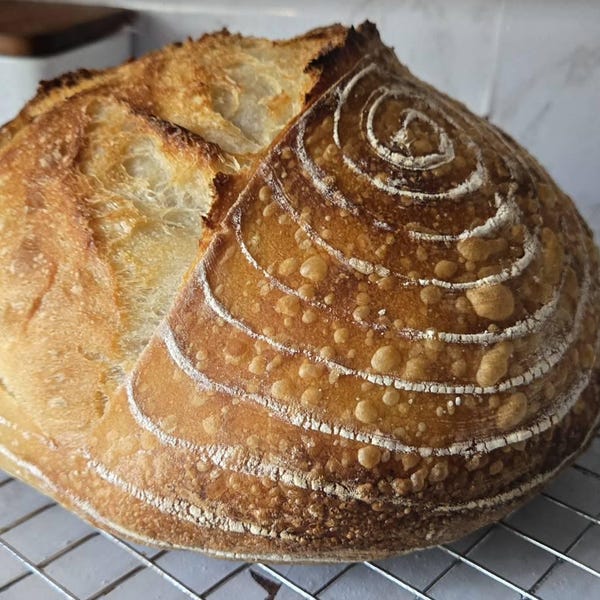 Alaskan Sourdough Starter | Live Wild Yeast Culture From Alaska ...