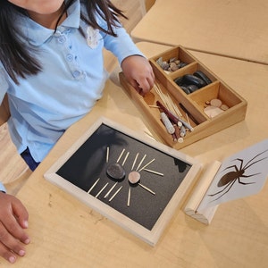 Animal Classification Sorting Set, Montessori Object Classification ...