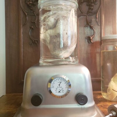 Lobotomy Shadowbox - Etsy