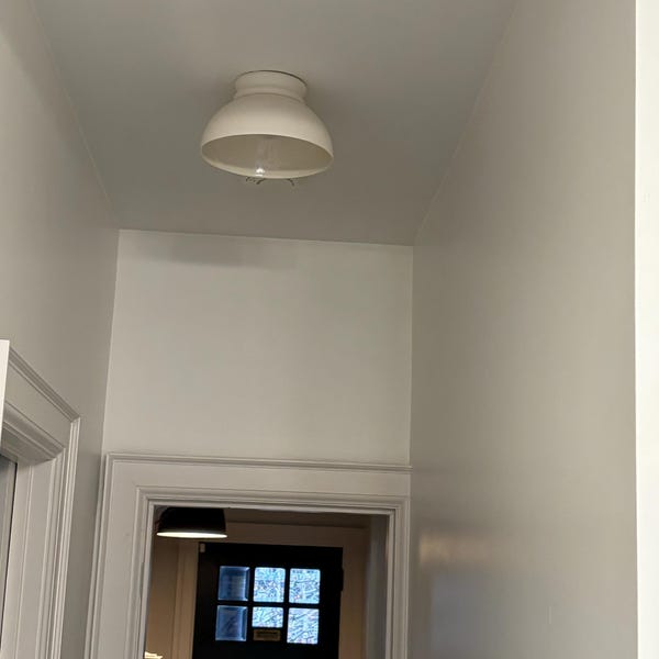 Large Scalloped Montebello Pendant Light Fixture - Bone - Etsy