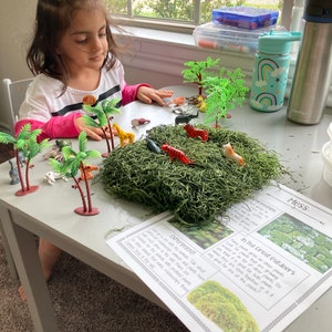 Thematic Unit: Cultures Around the World home-based Learning, Printable ...