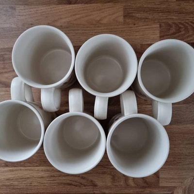 Shell Educational Poster Life on the Tide Line - Etsy