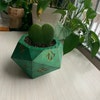 D20 Planter | Dnd Dice | 3D Printed | Hand-painted | Houseplants Pots ...