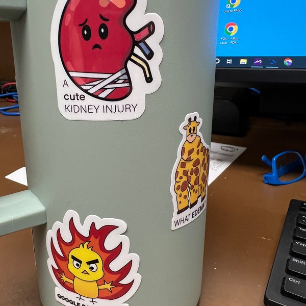 Cute Nutrition Stomach GI Sticker/ in Gut We Trust / Medical Sticker ...