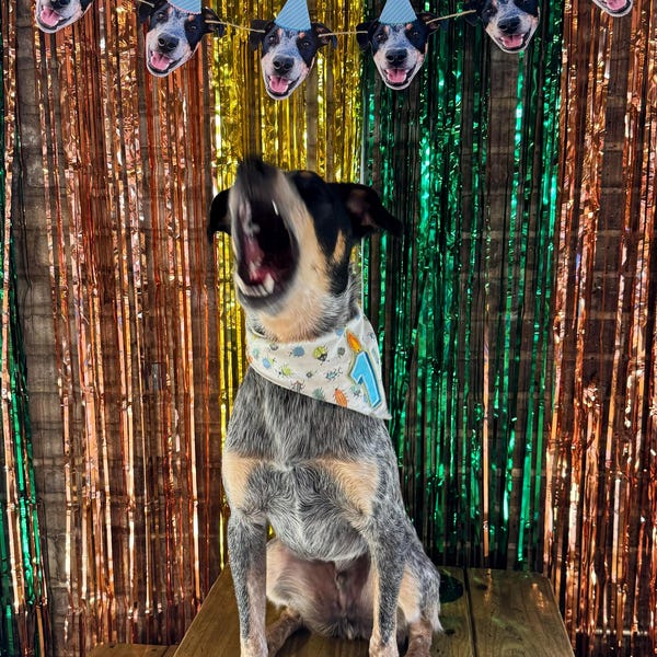 Michael Myers Banner Halloween Movie Banner Horror Party Decorations ...