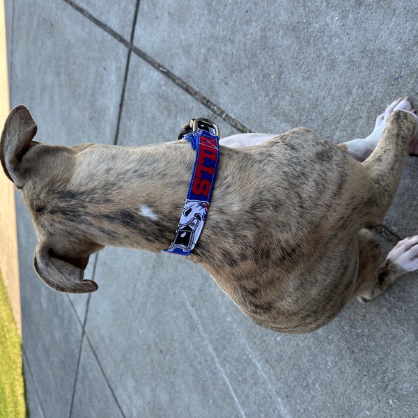 Pink Bandana Dog Collar, Bandana Dog Collar, Western Dog Collar ...