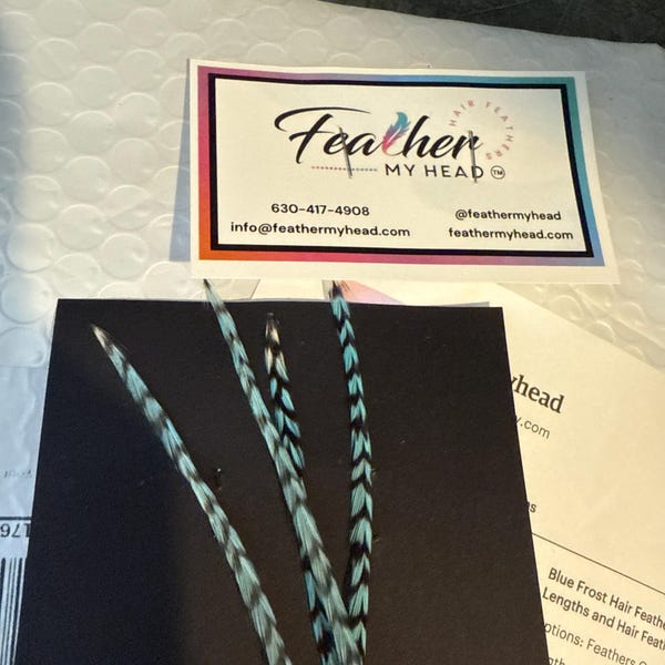 Feather Hair Extension Kit, 6 Real Feathers, Pick Your Length Short to ...