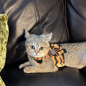 Safetykatz Walking Jacket Red Custom Made Cat Reversible - Etsy