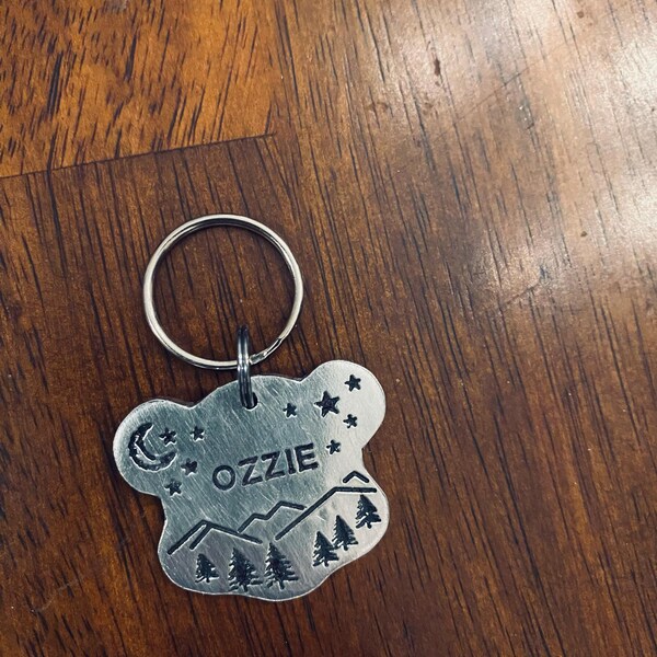 Pet ID Tag for Dogs, Dog Tag, Funny Pet Tags, Cute Pet ID Tags, Dog ...