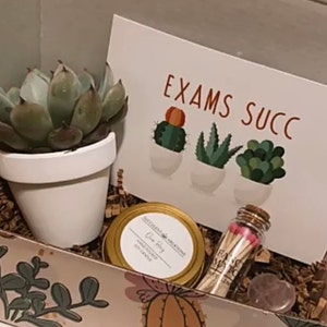 Final Exams Gift Box Exam Care Package Gift for Student College Gift ...