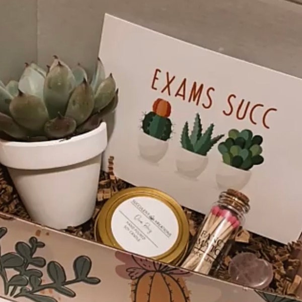 Final Exams Gift Box - Exam Care Package - Gift for Student - College ...