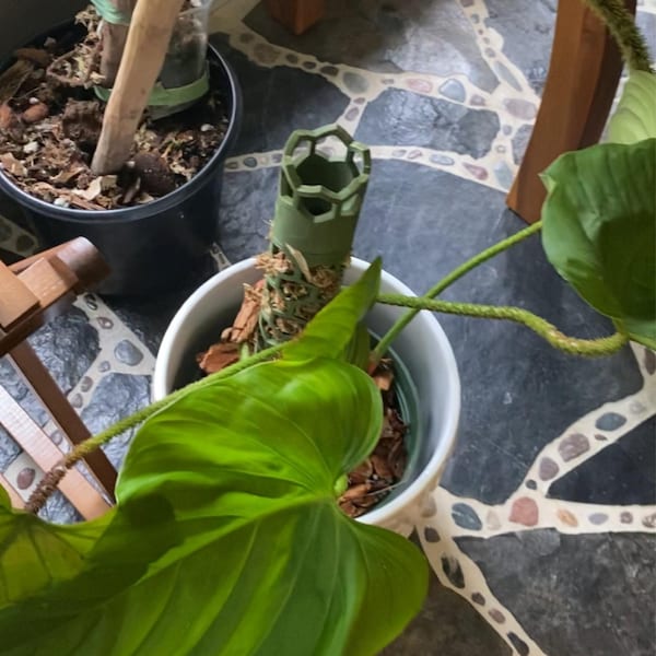 Modular Moss Pole - 1.75 in Diameter Extendable, Modular Pole, With Easy-watering Funnel - Etsy