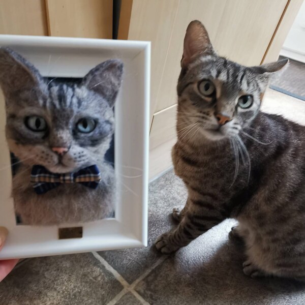 Custom Cat Portrait Sculpture in Frame Needle Felted Cat Realistic Cat ...