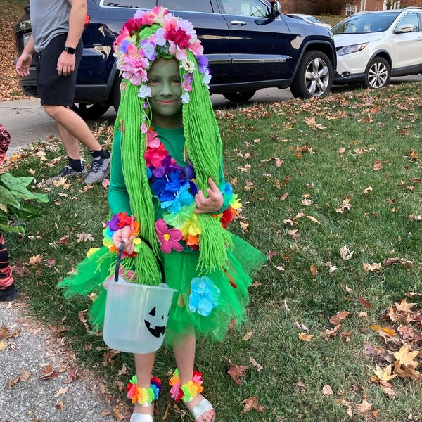 Lizard Hat/chameleon Wig/lizzard Costume Hat/rapunzel Lizard, Rapunzel ...