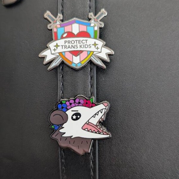 Pansexual Pride Noodle Cute Enamel Pin in Pan Pride Flag Colors ...