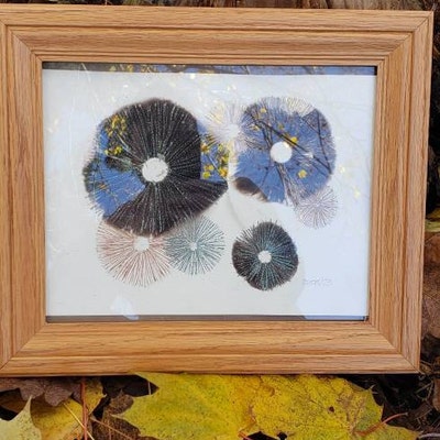 Merida Disney Princess Watercolor Paints Half Pan - Etsy