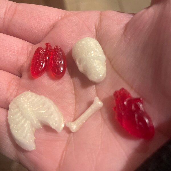 Small Human Body Parts/organs Silicone Molds - Etsy