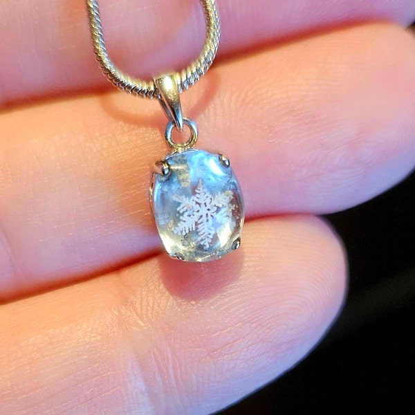 Real Snowflake Preserved - Artist Danielle Oliver - Captured Real ...