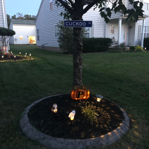 Cuckoo, Cuckoo Gift, Cuckoo Sign, Cuckoo Decor, Cuckoo Expert, Cuckoo ...