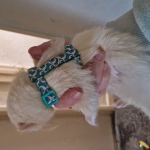 Ferret Harness Set With Leash Marble - Etsy