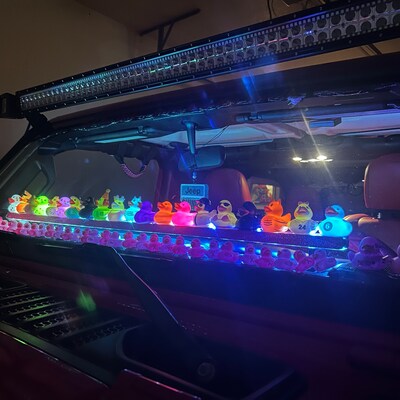 Duckwood LED , the Original LED Duck Bar - Etsy