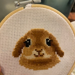 Hawaiian Goose nene Cross Stitch Pattern PDF Nene - Etsy