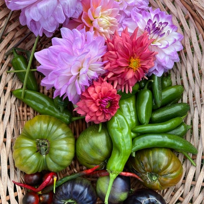 Wicker Large Gathering Basket for Flowers in 2 Sizes, Big Rattan Garden ...