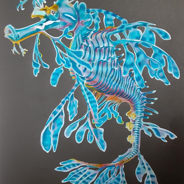 Detailed Animal Sketches 2. A Coloring Collection by Tim Jeffs - Etsy