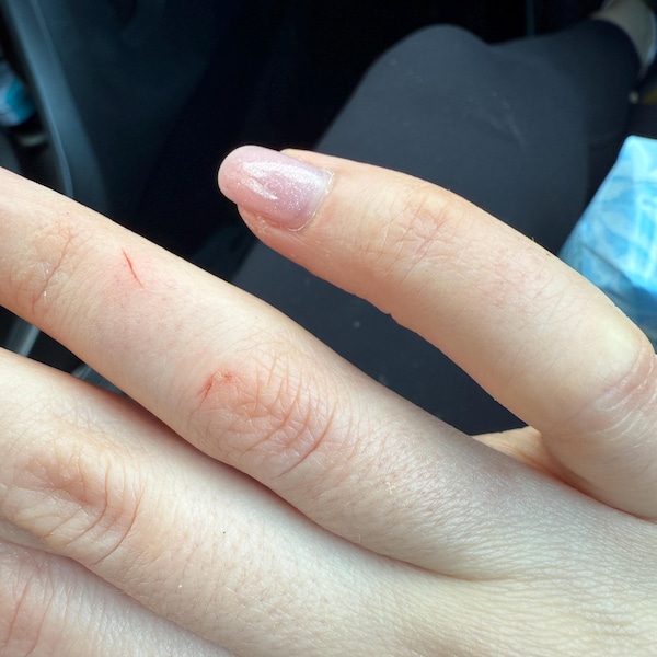 Modern Apartment Door Number Sign | Wood and Acrylic House Number ...