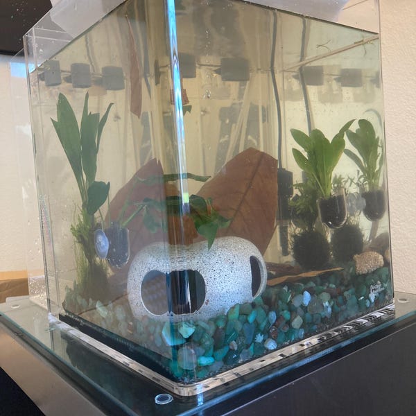 DIY Self Cleaning Conversion Kit for Anchor Hocking, 2 Gallon Fishbowl ...