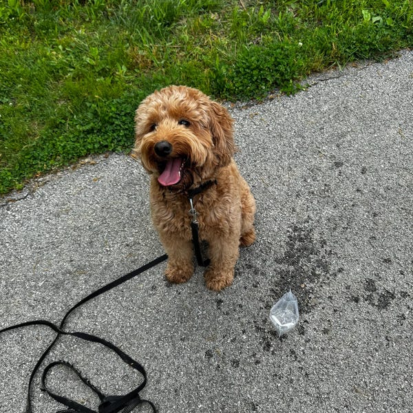 JAR Genius-ultralight Water Measuring Tool for Cold Soaking Dehydrated ...