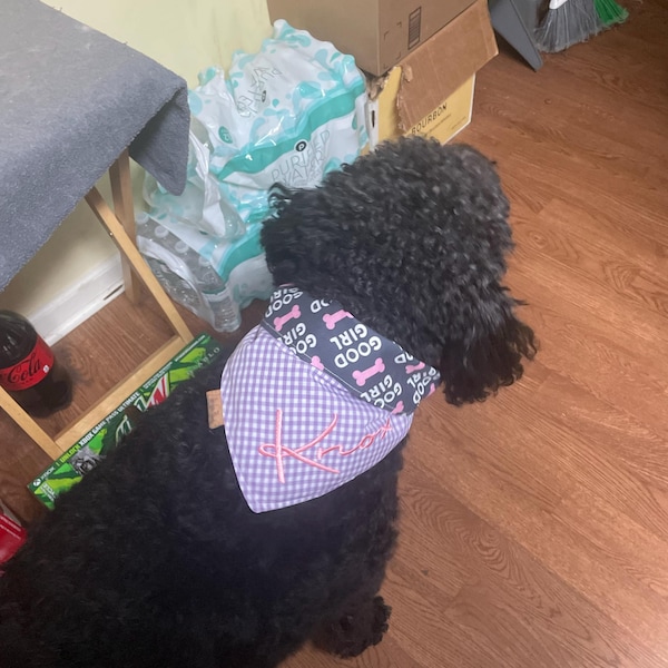 Valentine Dog Bandana Lets Taco About Love Reversible Tie & Snap Dog ...