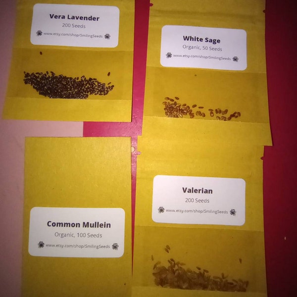 Vidalia Onion, 200 Seeds, Yellow Granex Hybrid F1, Sweetest Onion ...