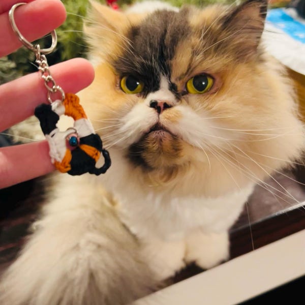 Crochet Animal Pull Tab Keychains - Etsy