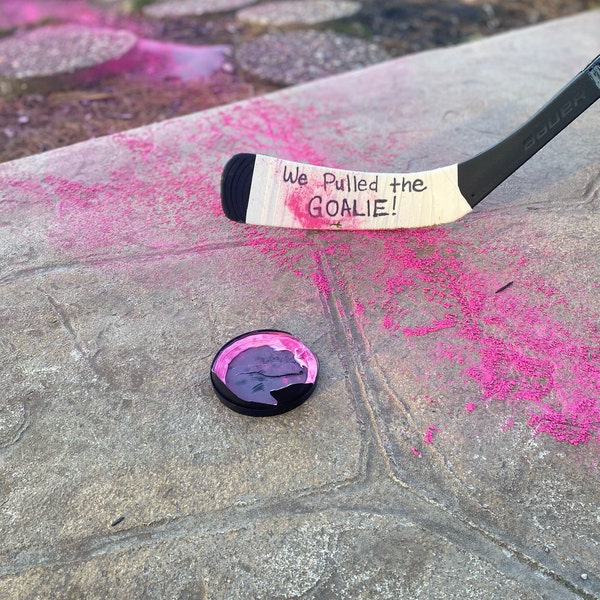 Powder Hockey Puck for Gender Reveals in Pink or Blue Hockey Pucks for ...