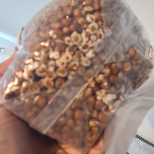 3 Pack | 5lb Milo Sorghum Grain Spawn| Sterilized Grain for Mushrooms ...