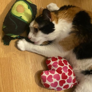 Pico De Gato 1oz Resealable Package of Super Potent Catnip - Etsy