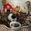 Custom Hamster Grave Stone/ Memorial Grave Marker/ for Hamster Loss ...