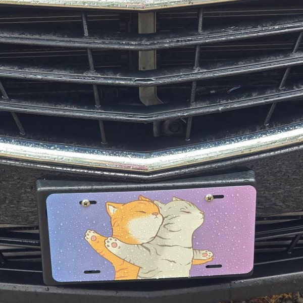 Silly Goose Pink License Plate Frame, Funny & Cute Car Accessories for ...