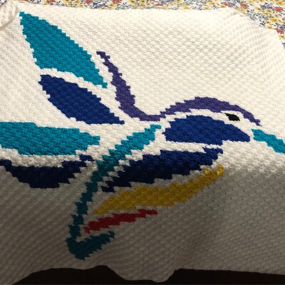 Colorful Hummingbird Pattern Graph With Mini C2C Written, Hummingbird ...