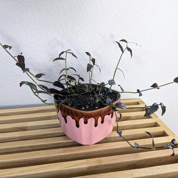 Elliot Planter Speckled Ombré Ceramic Pot in Multiple Sizes - Etsy