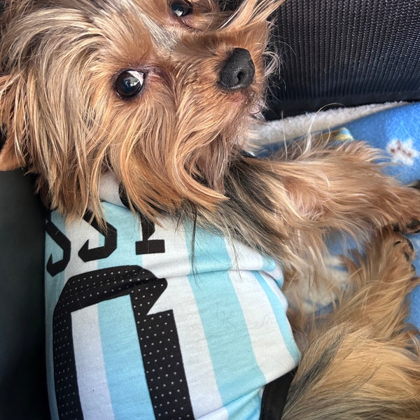 Neon Color Chart & HEX Codes, Printable, Designer Quick Reference, Cheat Sheet, Gift, Wall Art ...