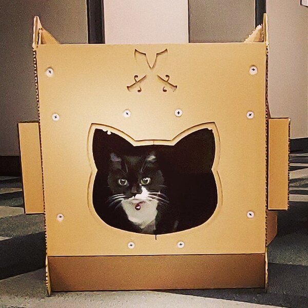 Pirate Ship Cardboard Cat House - Etsy