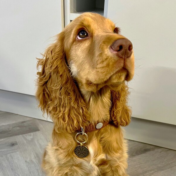 Nordic Viking Dog Tag, Norse Viking Runes Keyring, Tribal Celtic Aztec ...