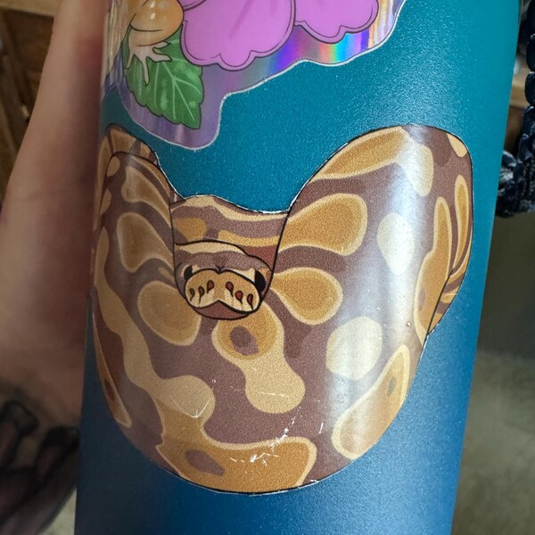 Banana Ball Python Stickers - Etsy